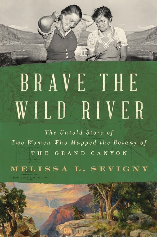 Brave the Wild River - A Review - Tsunami Rangers
